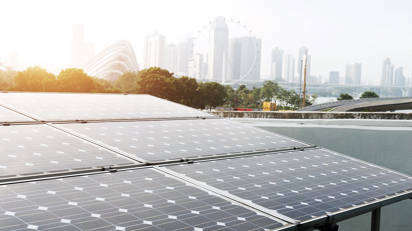 Sustainability Wins as Investors in Southeast Asia Shift Focus | Bain ...