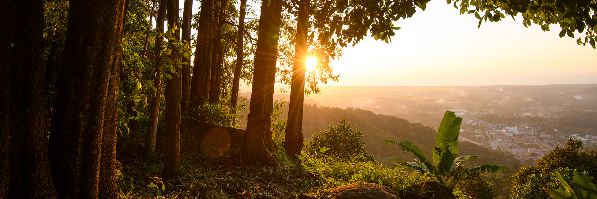 Southeast Asia's Green Economy 2025 Report | Bain & Company