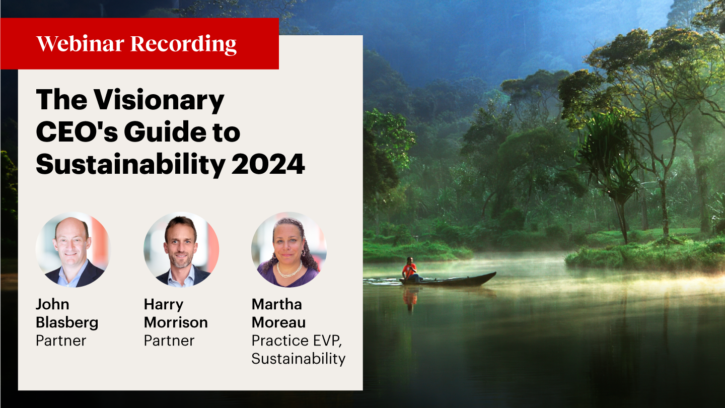 Inside the 2024 Visionary CEO's Guide to Sustainability | Bain & Company