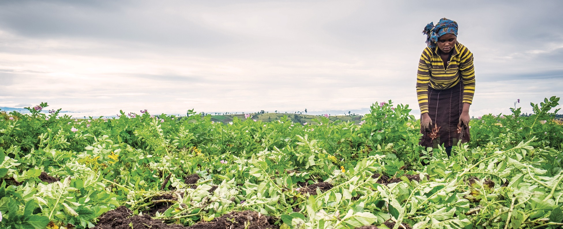 社会貢献 | Bain & Company