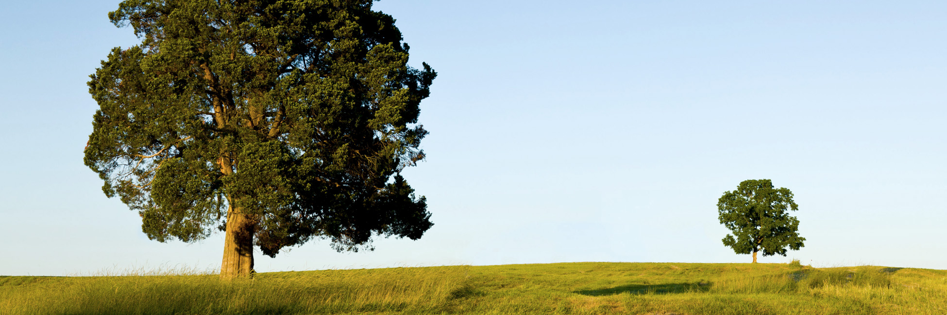 What Gets in the Way of Great Strategy? | Bain & Company