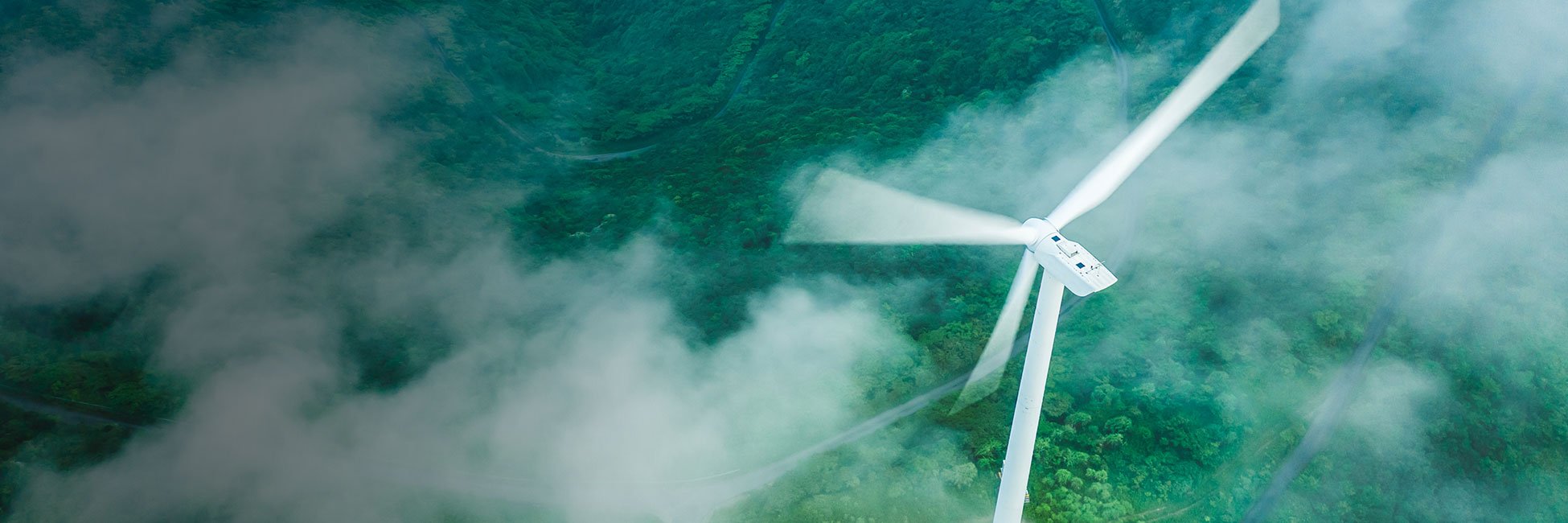 Our Sustainability | Bain & Company