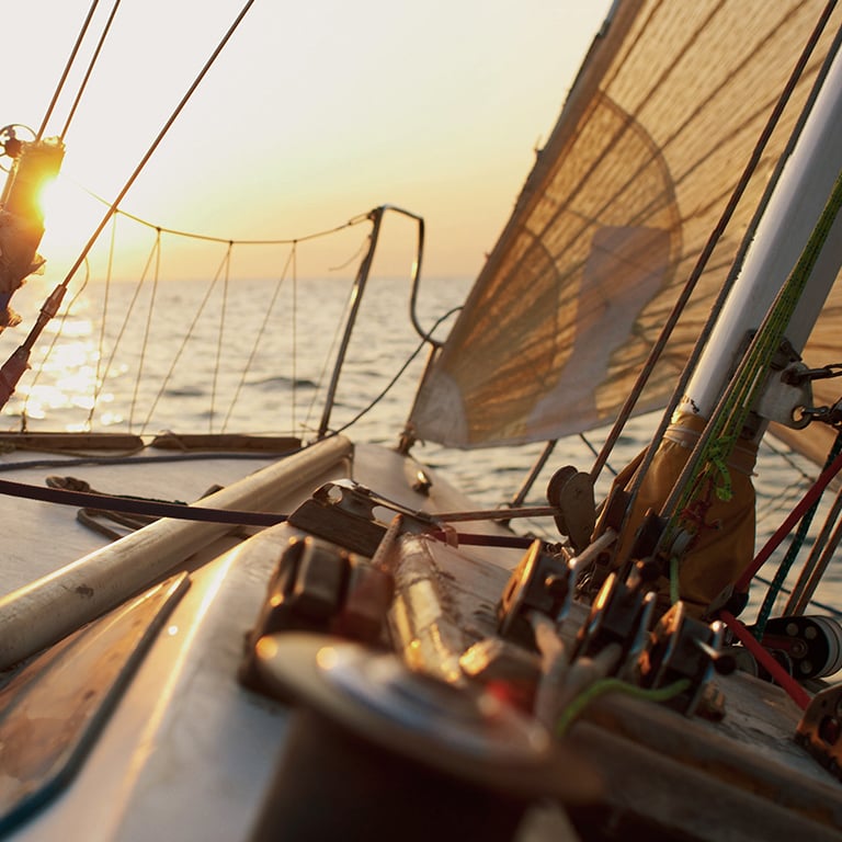 Founder's Mentality®: The Path to Scale Insurgency - Bain & Company