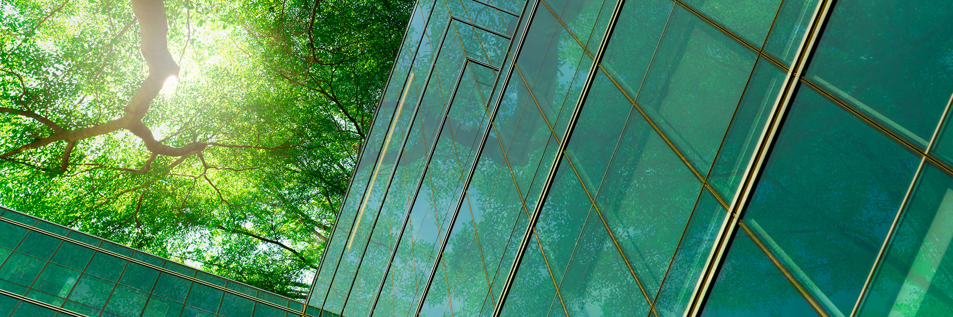 Bain & Sylvera Partnership | Carbon Intelligence Platform | Bain & Company