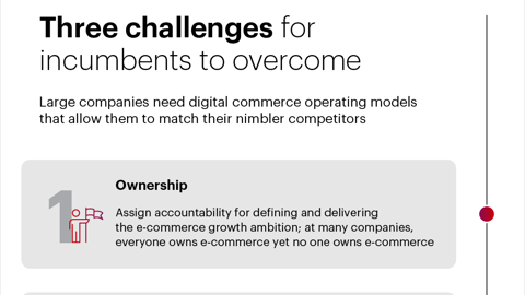 How Big Brands Can Adapt to Seize the E-commerce Opportunity | Bain ...