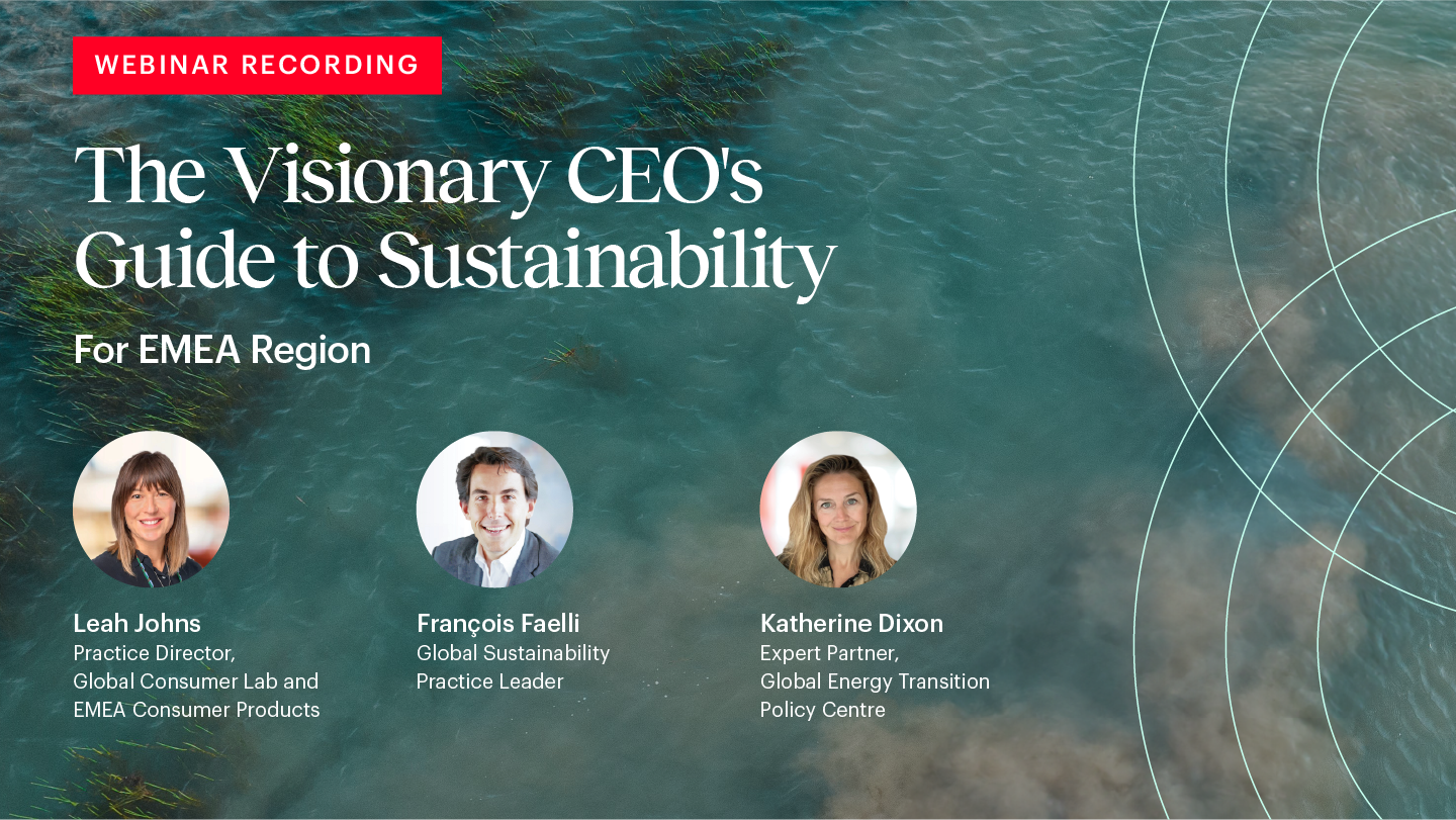 Inside the Visionary CEO’s Guide to Sustainability | Bain & Company