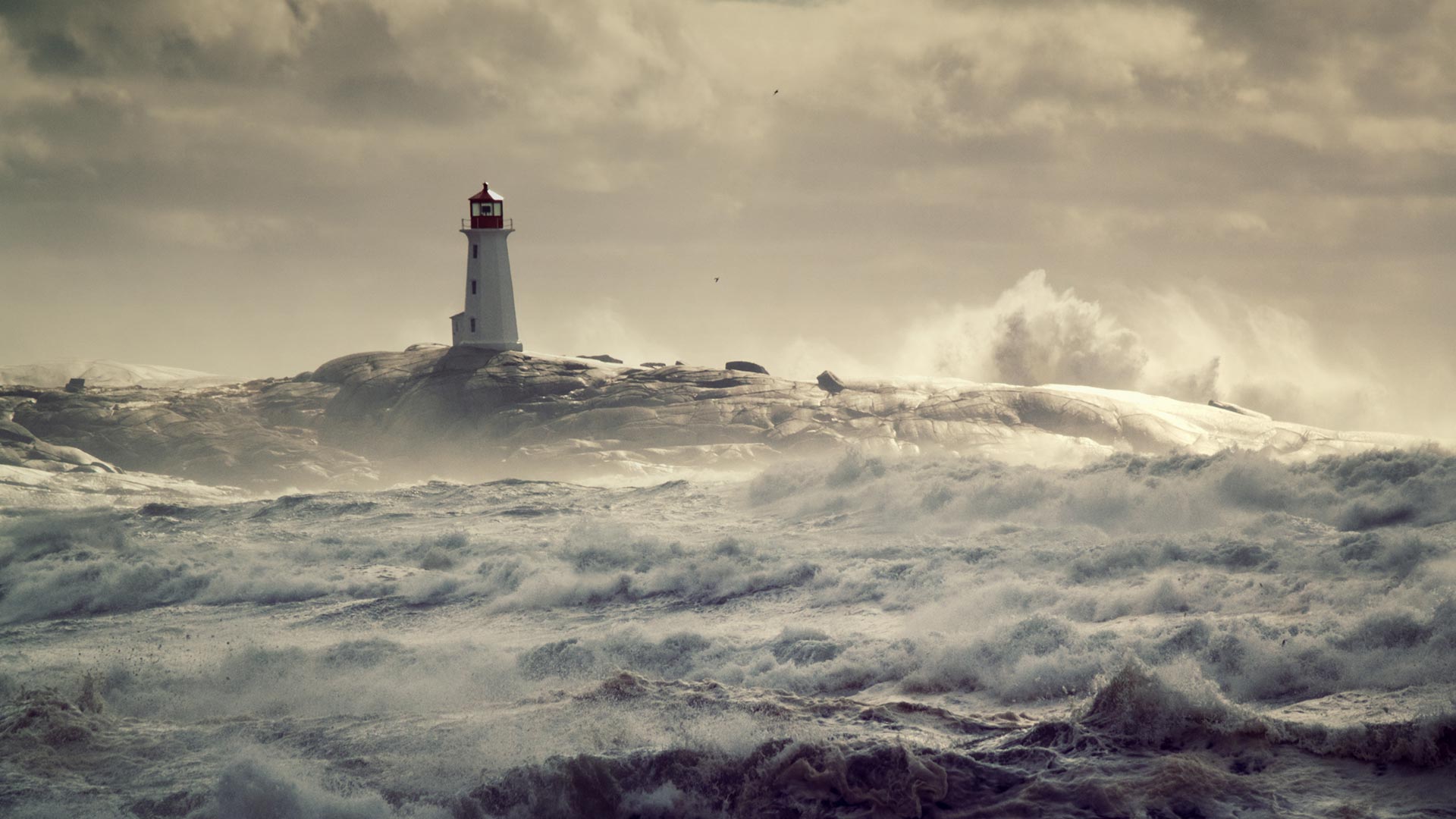 Global management consulting firm - Bain & Company