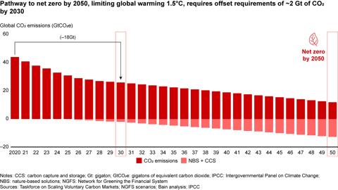 Carbon Offsets and Credits in the GCC | Bain & Company