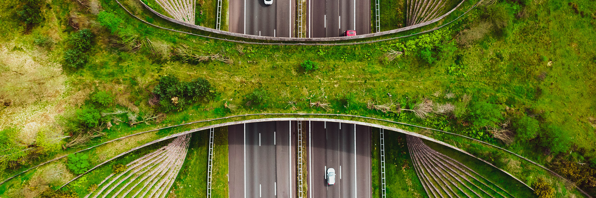 Unlocking Hidden Value: A New Approach to Data Monetization with AI | Bain & Company