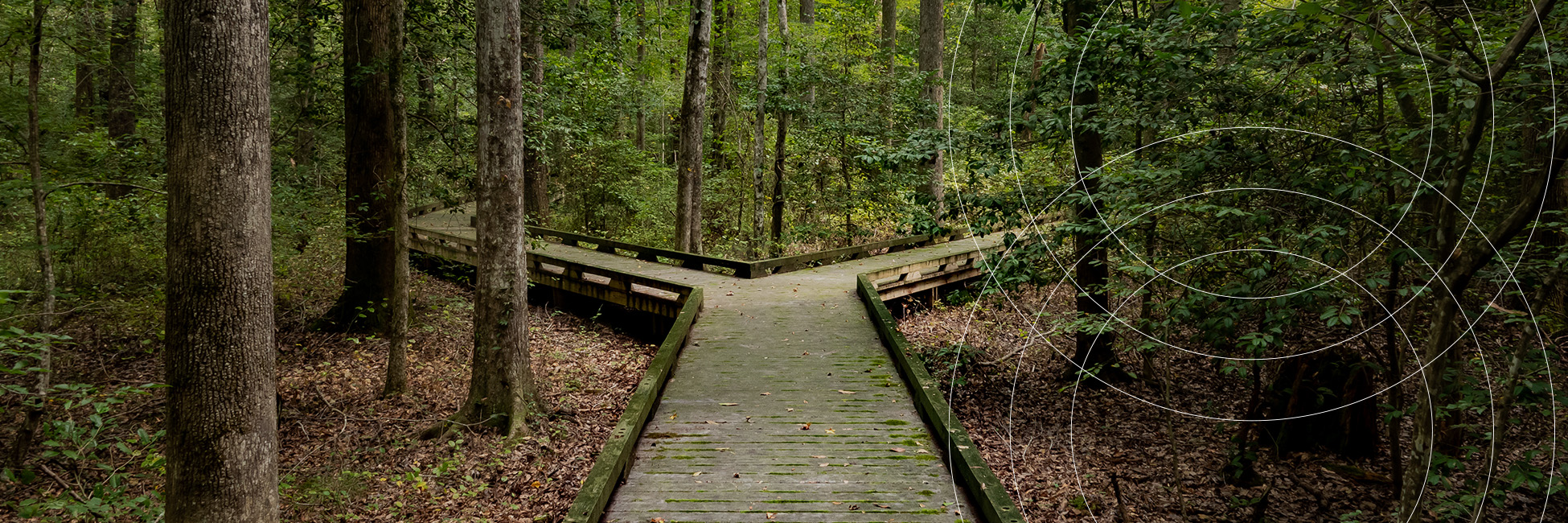 Building a Data-Based Stakeholder Strategy | Bain & Company