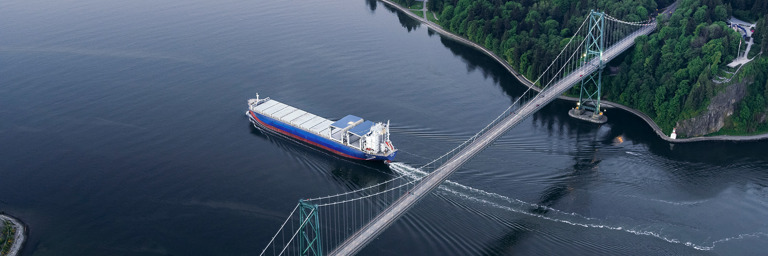 Cross-sector Partnerships for a Rapid Transition to Clean Global ...