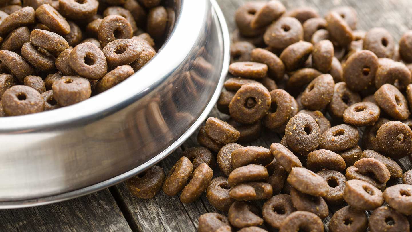 What Is The Profit Margin On Dog Food