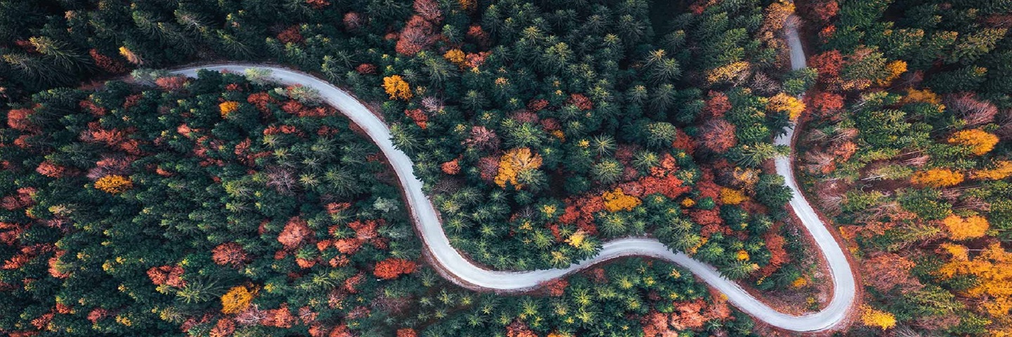 Private Markets Decarbonization Roadmap | Bain & Company