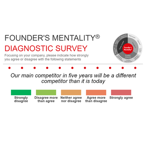 How Strong Is Your Founder's Mentality®? - Bain & Company