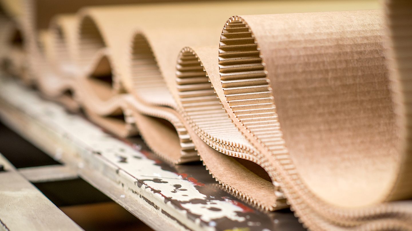 A Packaging Company Unboxes a New Go-to-Market Strategy | Bain & Company