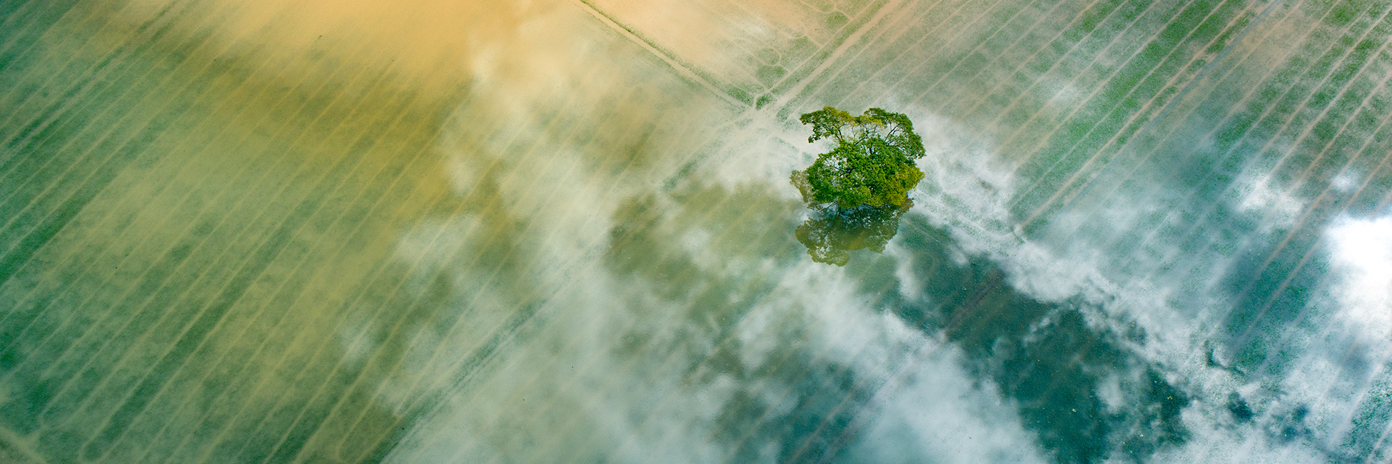 Fires, Floods, and Loans: How Banks Can Deal with Increasing Climate ...