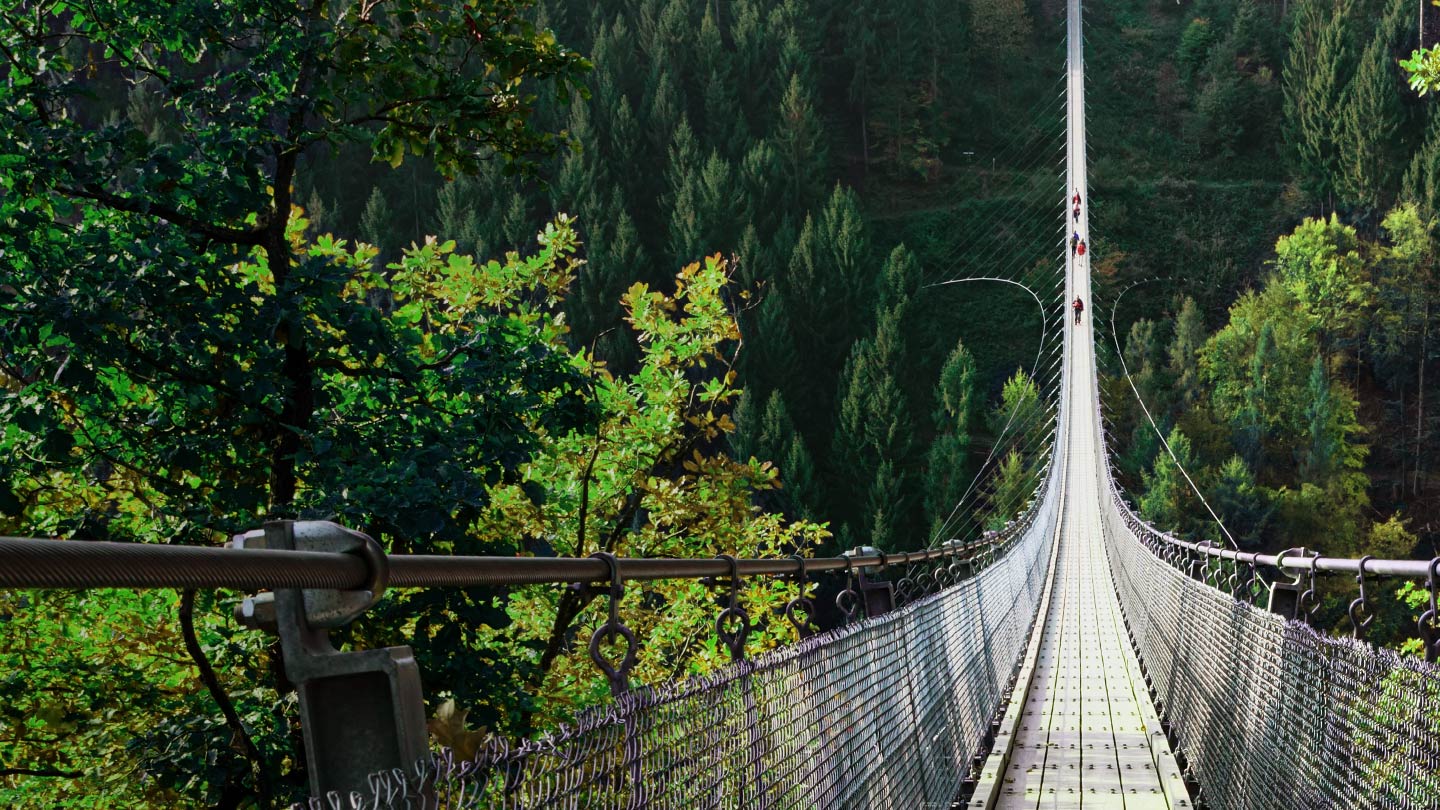 Further - Our Global Responsibility | Bain & Company