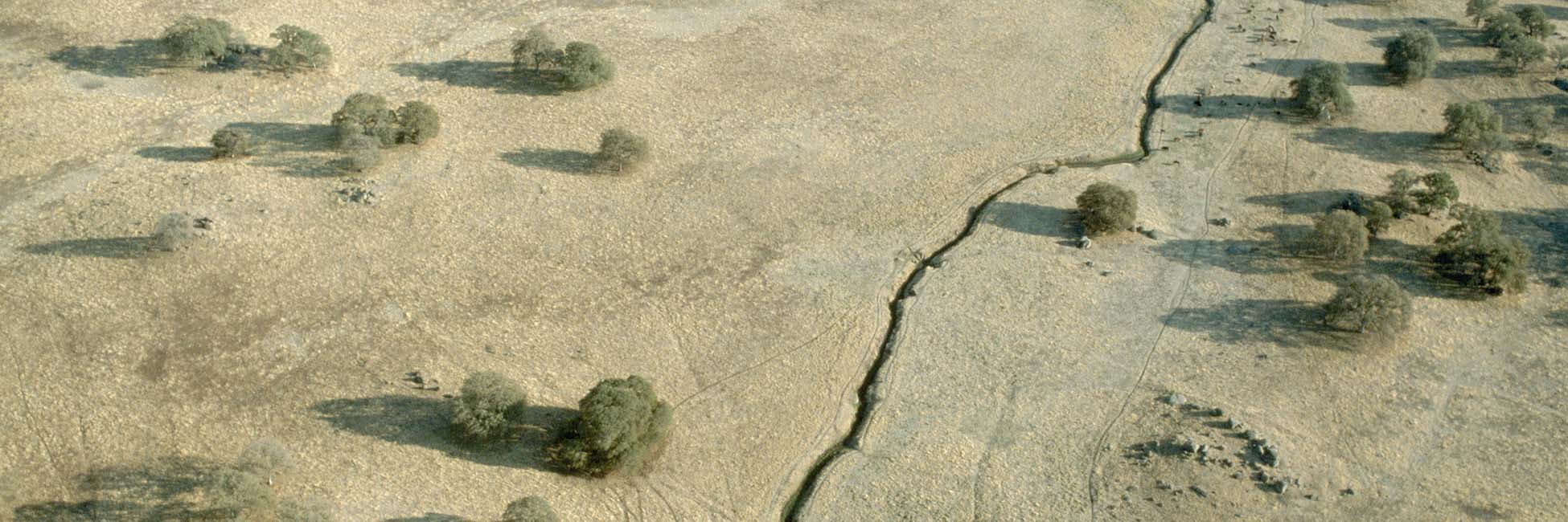 How to Avoid the Fault Lines Sending Tremors through Cultural ...