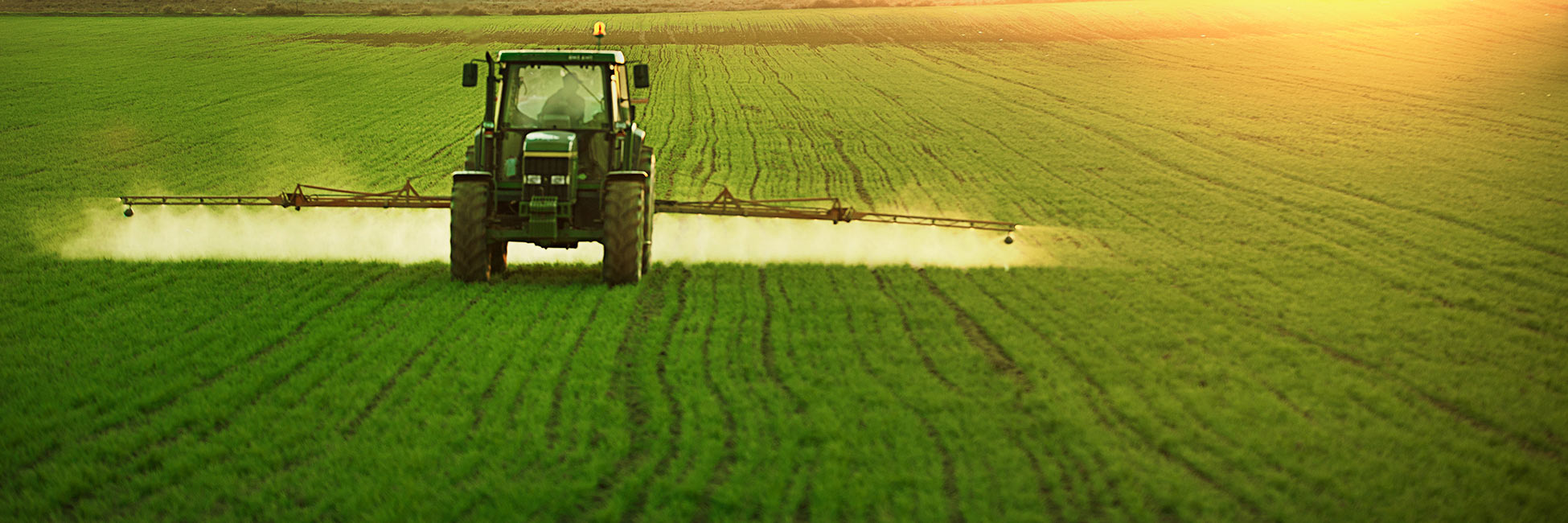 Redesigning Value Chains to Deliver More Sustainable Goods | Bain & Company