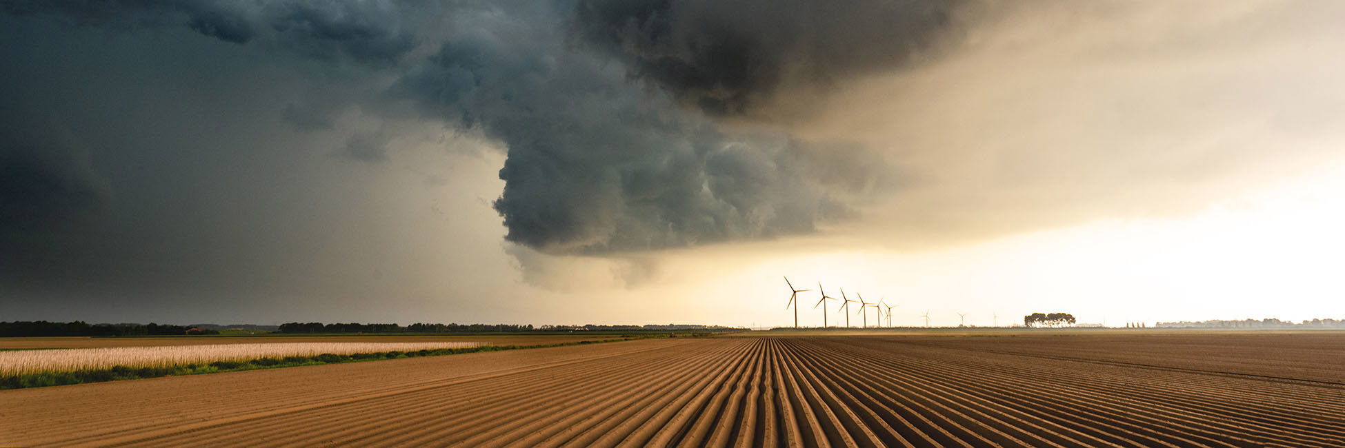 How Energy and Natural Resources Companies Are Responding to the Crisis ...