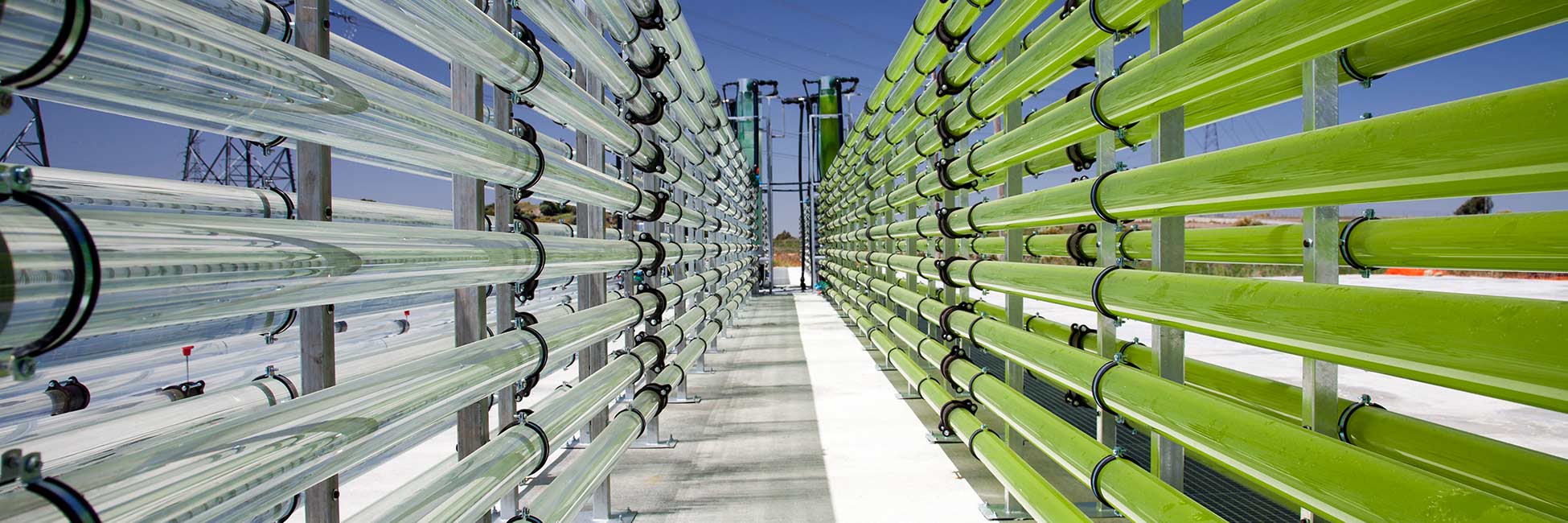 Engine 2: How to Grow a Sustainable New Business | Bain & Company