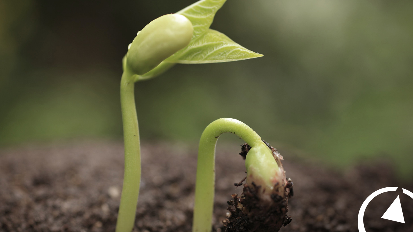 Lean Six Sigma solves a commercial bank's growth problem | Bain & Company