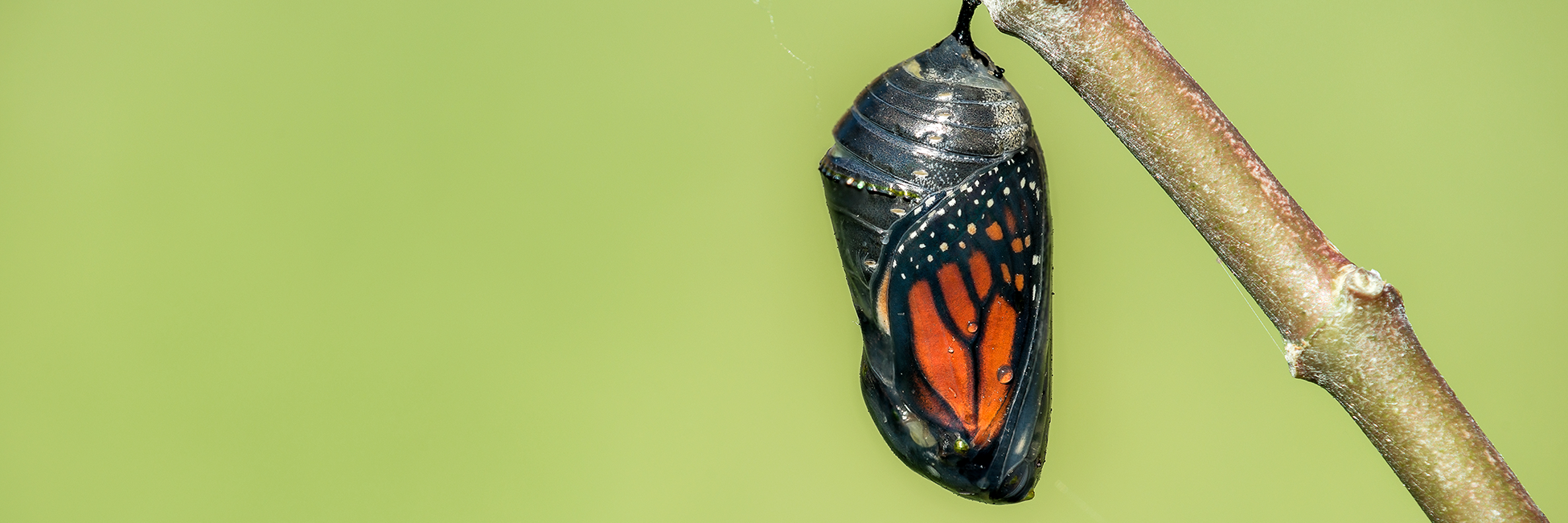 The Changing Nature of Strategy: Reflections on Thirty Years | Bain ...