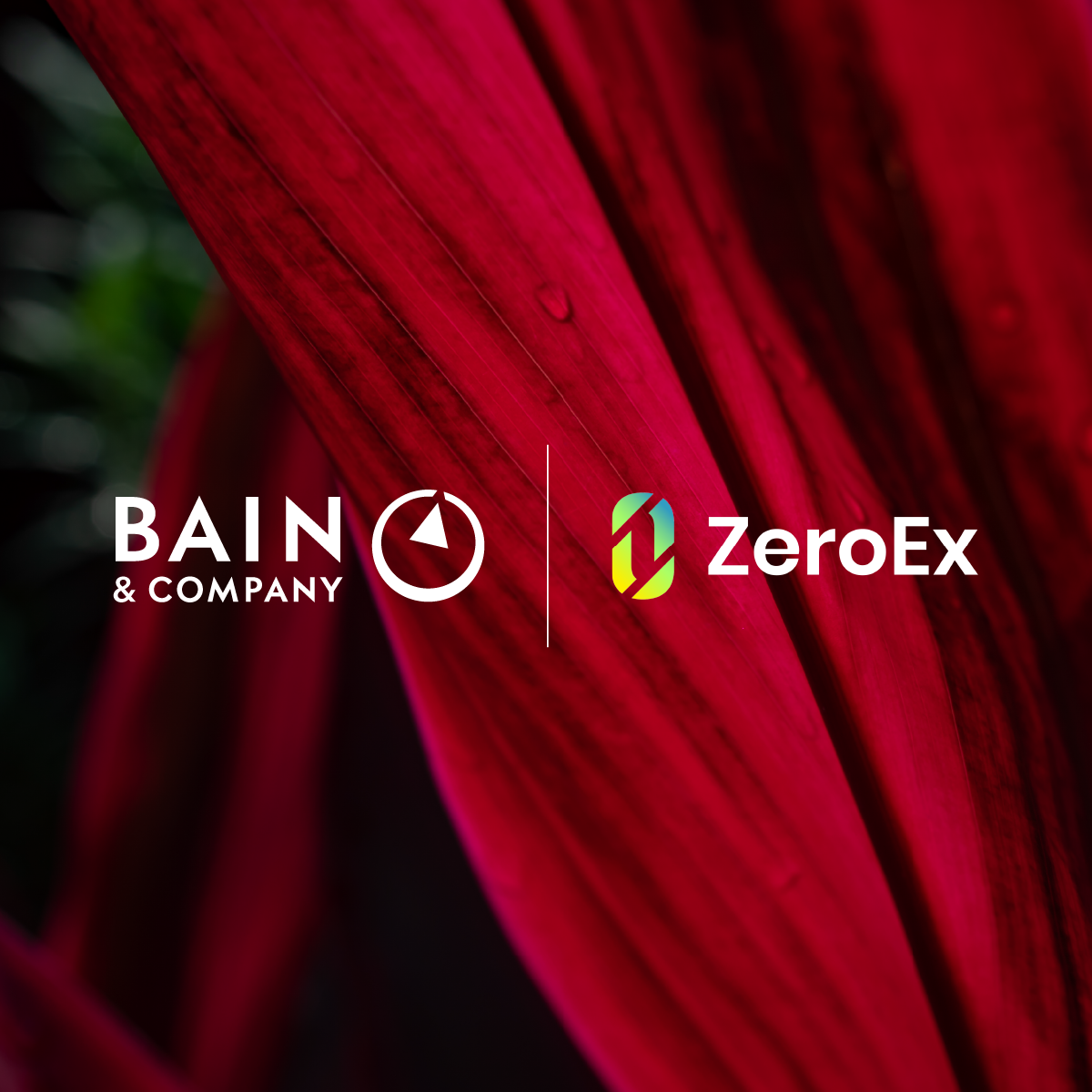 Strategische Partnerschaft Bain & ZeroEx | Bain & Company