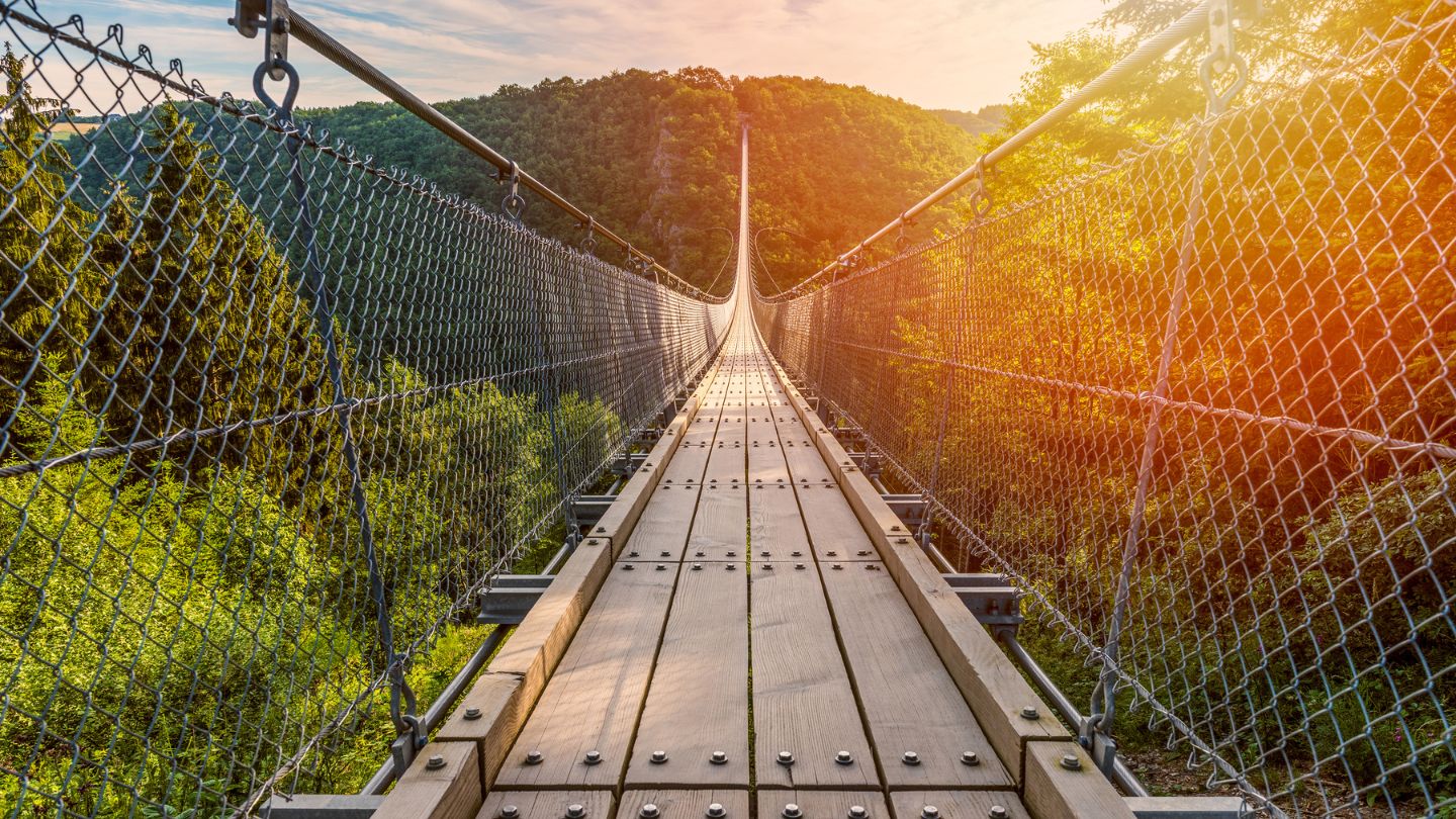 CEO Nachhaltikeitsstudie 2024| Bain & Company | Bain & Company