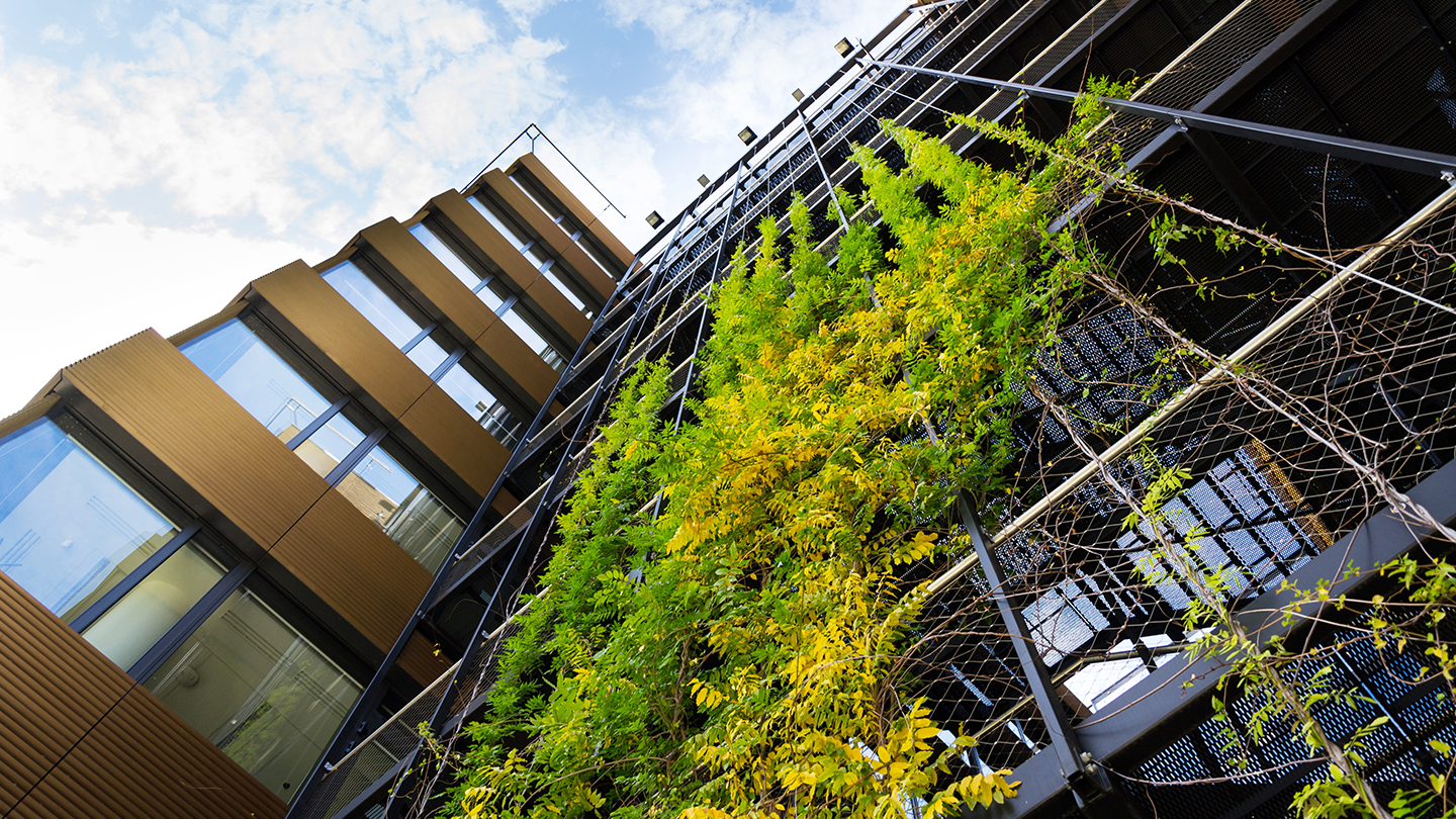 Overcoming Barriers to Singapore SME Decarbonisation | Bain & Company