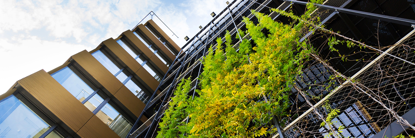 Overcoming Barriers to Singapore SME Decarbonisation | Bain & Company