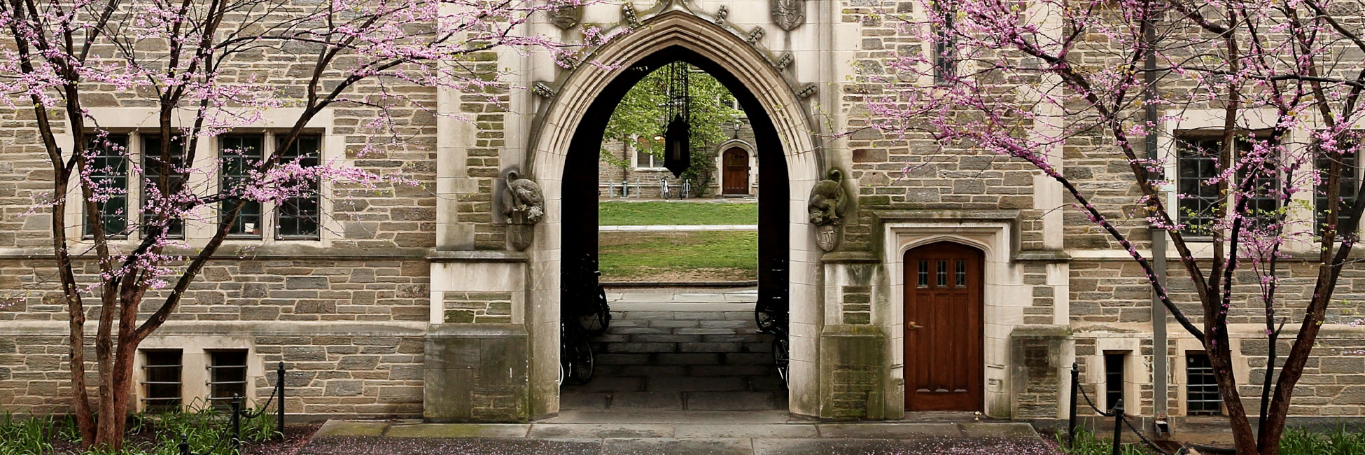 Princeton University