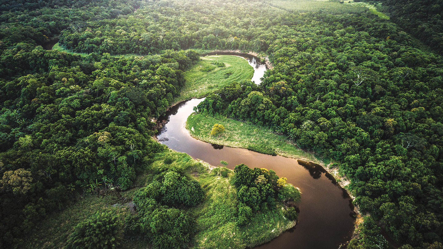 Bain Social Impact Report | Bain & Company