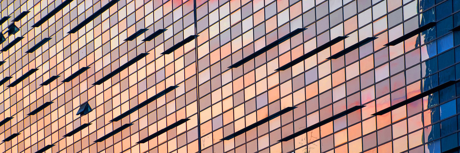 Regulation and M&A: How Scrutiny Raises the Bar for Acquirers | Bain ...