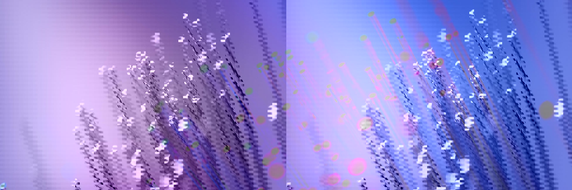 Telco Fiber Networks: If You Build It, Will They Come? | Bain & Company