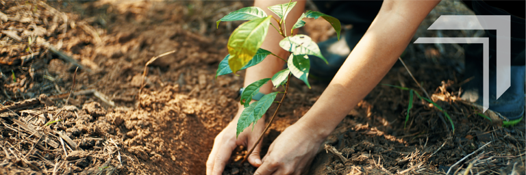 Mit der „Bain Sustainability Academy“ ESG-Kompetenz ausbauen | Bain ...