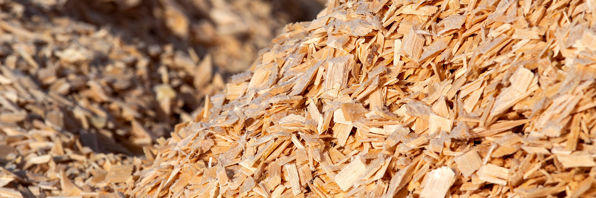 Which Packaging Substrates Are the Most Sustainable? | Bain & Company