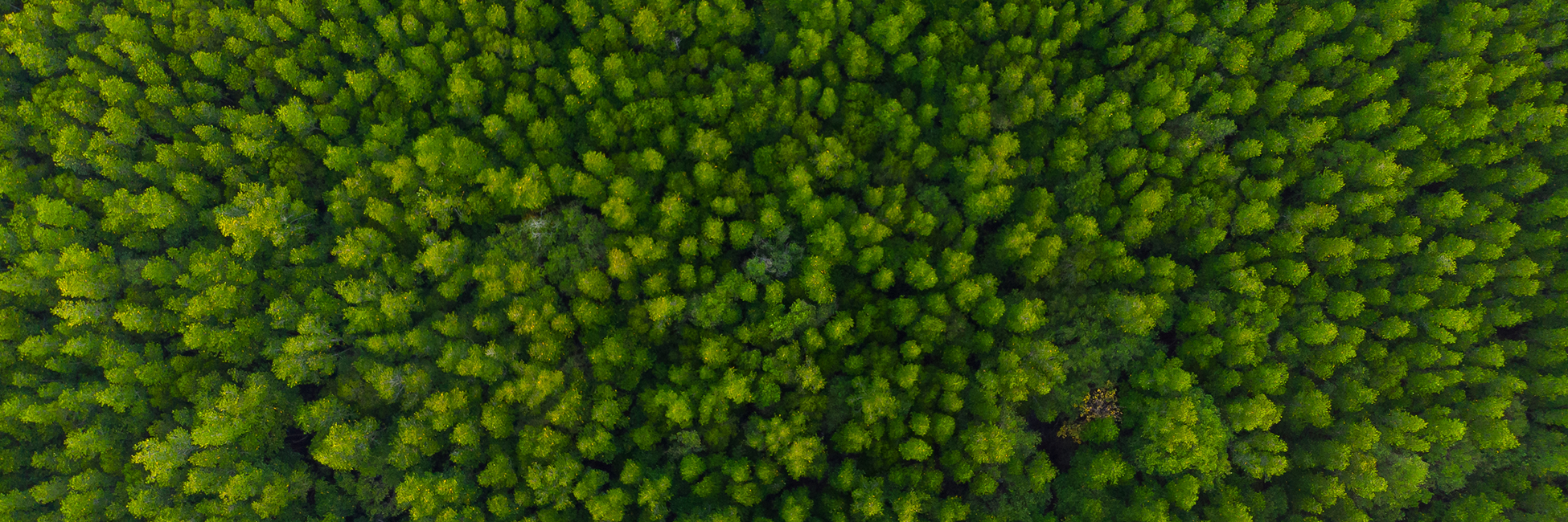 Southeast Asia’s Green Economy 2023 Report | Bain & Company