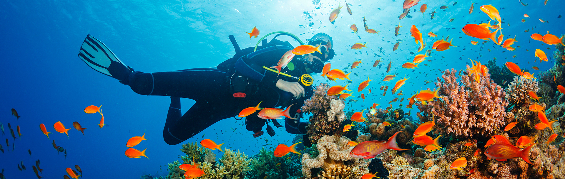 Unlocking the Great Barrier Reef Foundation to create a better future ...