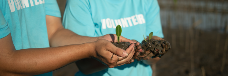 Helping the Mangrove Conservation Foundation (MCF) define its strategy ...