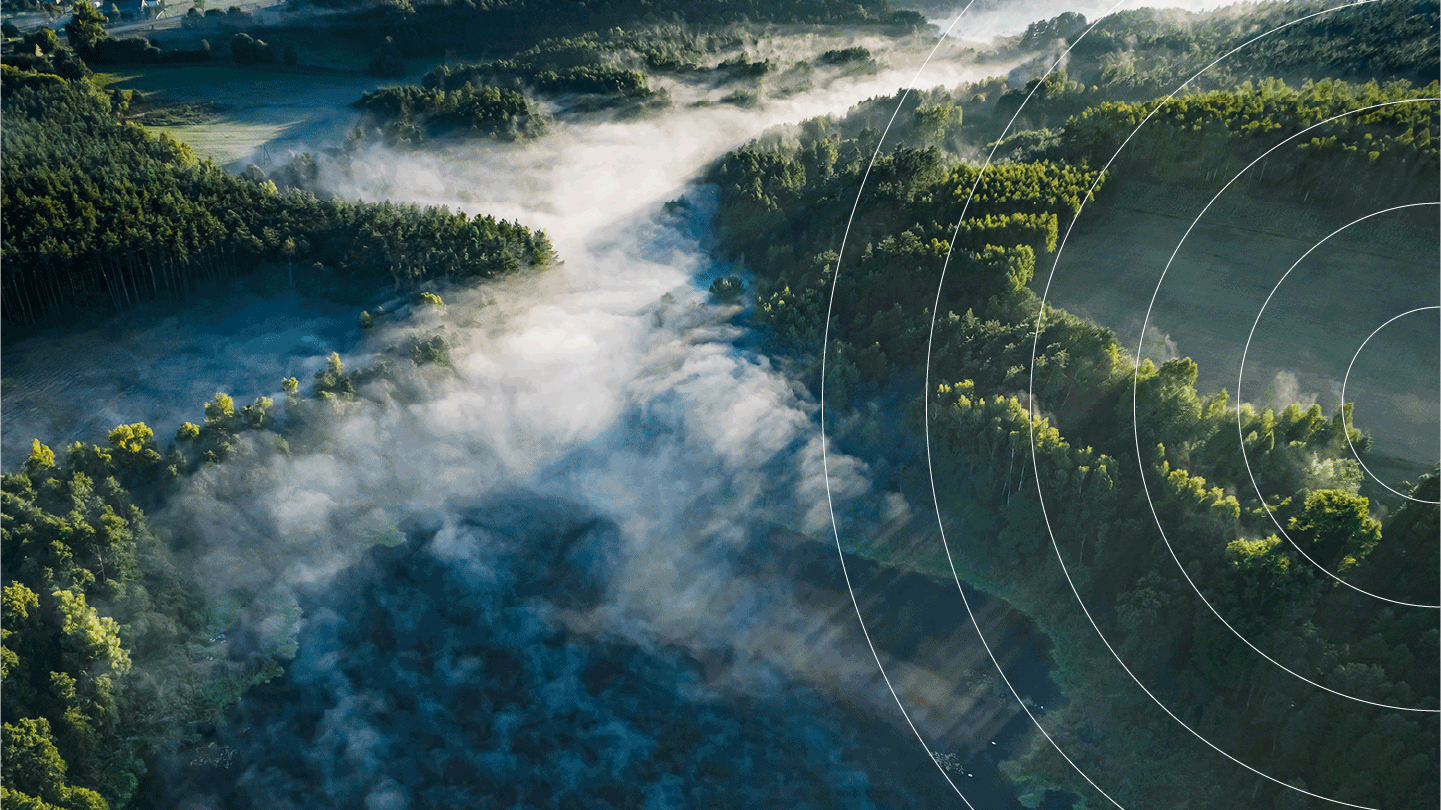 Further - Our Global Responsibility | Bain & Company